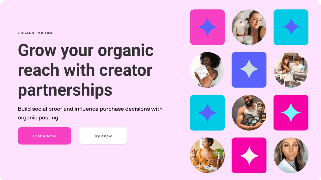 Creator Partnerships to Grow Your Organic Reach, with Insense